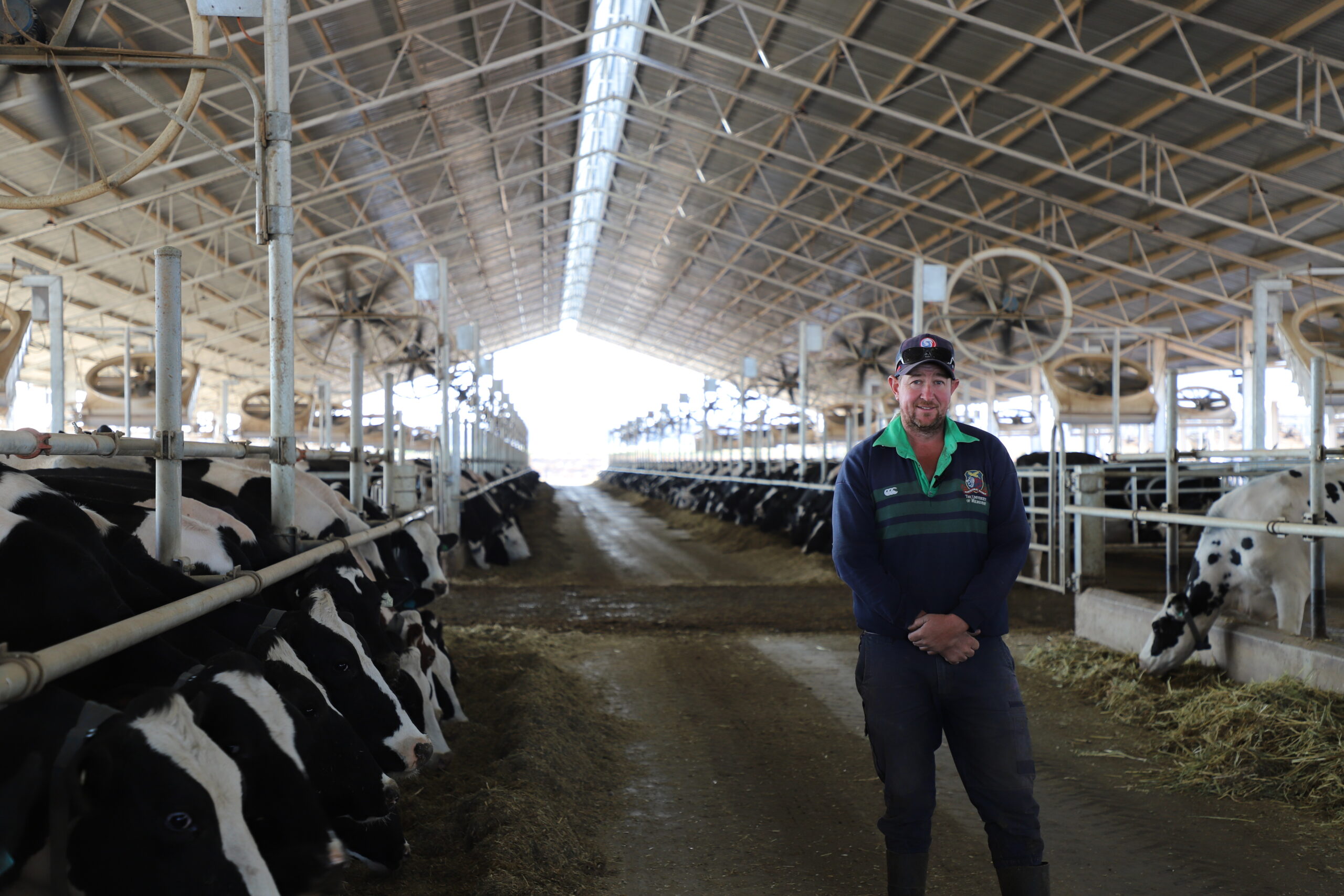 The right tools for fast-tracking genetic improvement and milk ...